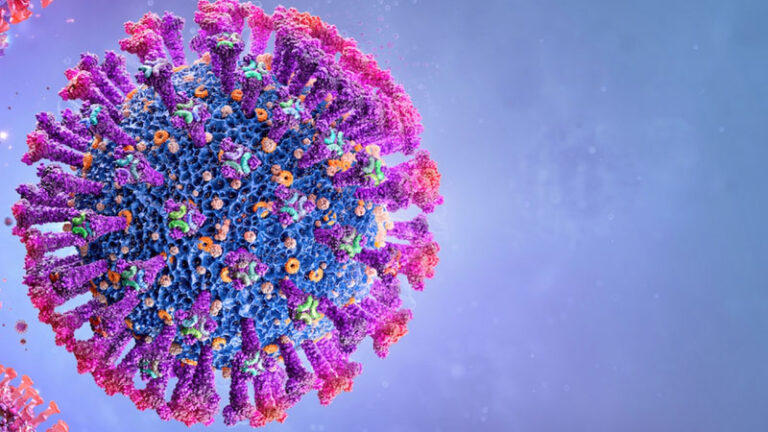 When Will Delta Variant in the United States Reach Its Peak – Menz First